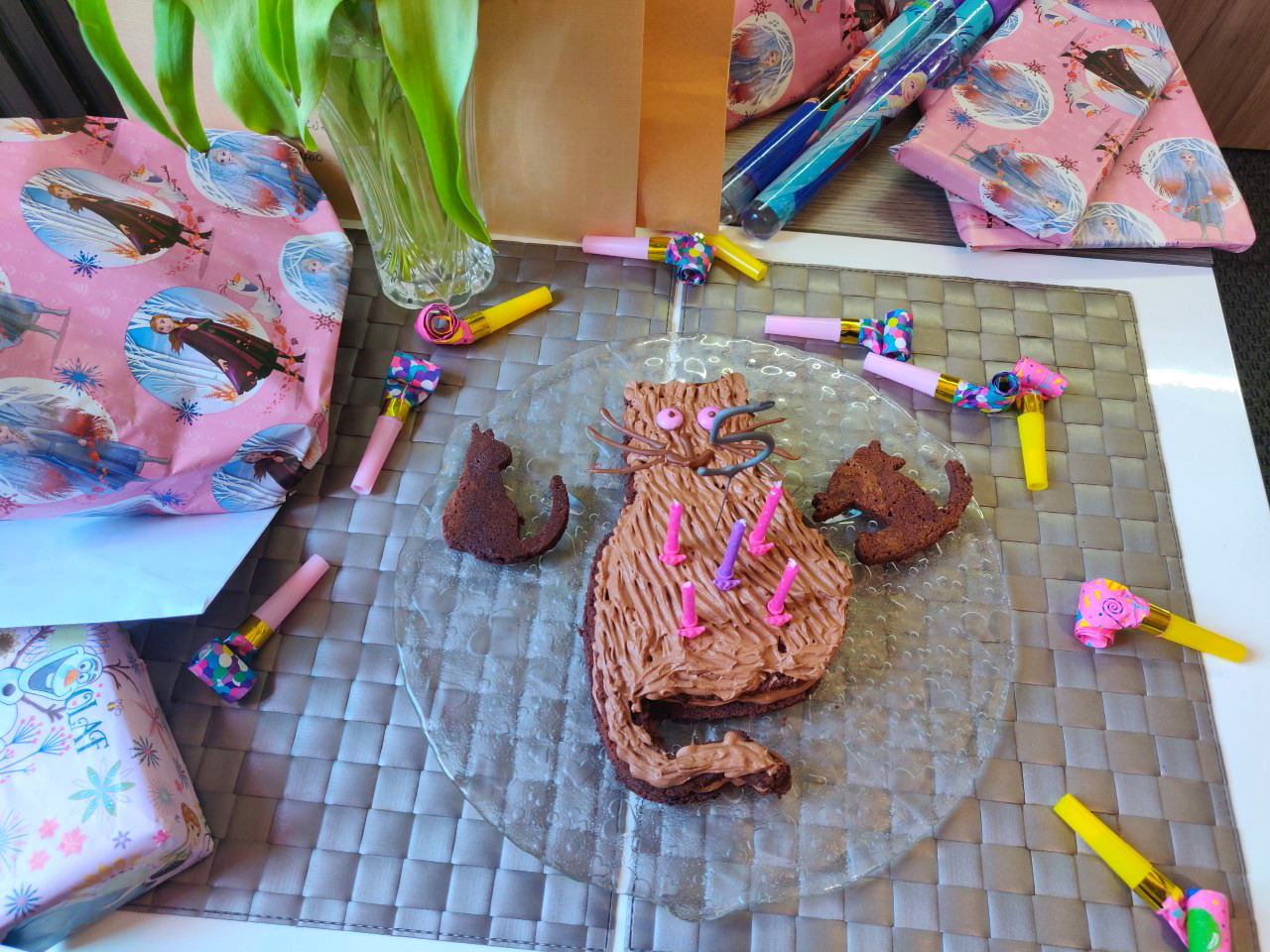 Gâteau chat au chocolat – Eva Cuisine