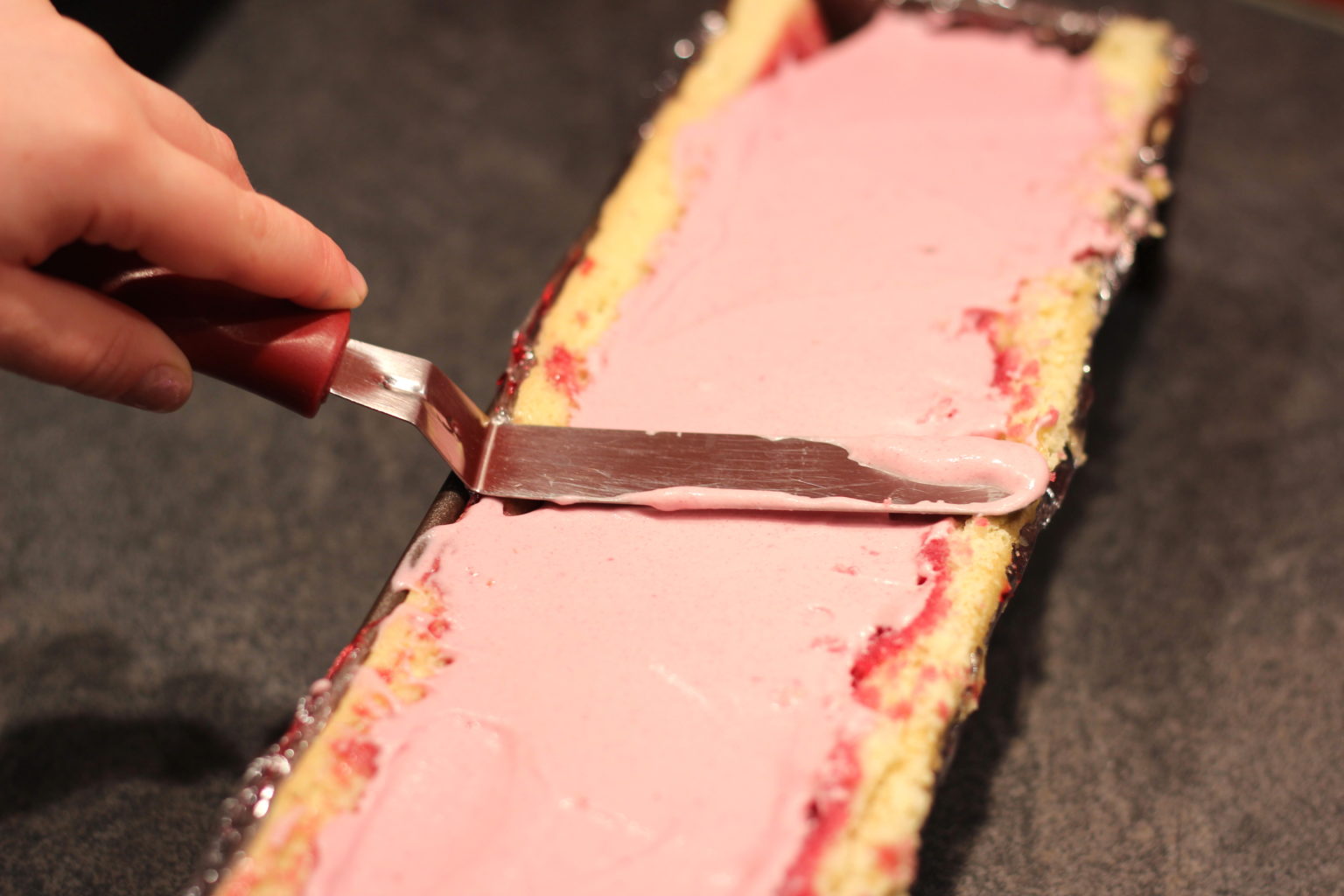 Bûche aux fruits rouges et chocolat – Eva Cuisine