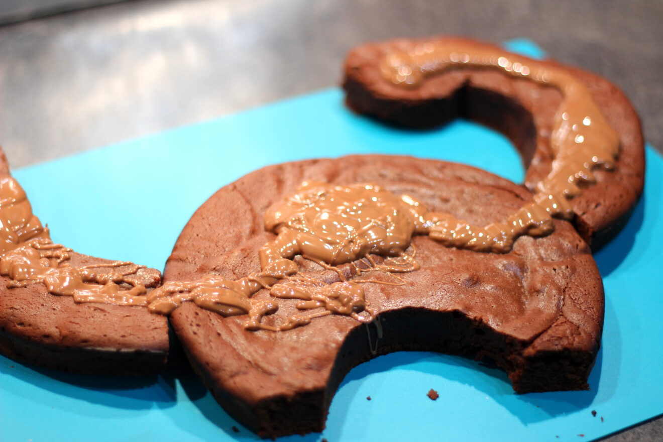 Gâteau dinosaure au chocolat – Eva Cuisine