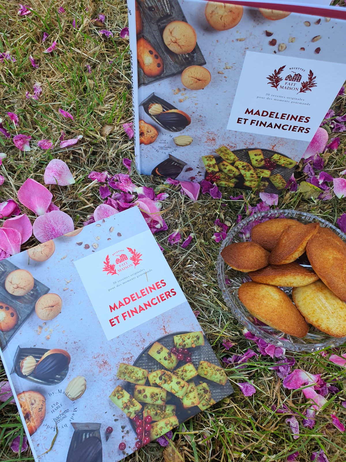 Mon nouveau livre « Madeleines et financiers » – Eva Cuisine